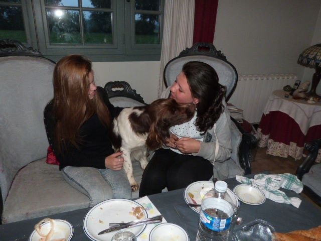 Accueil - Elevage De La Maison D'herbouville - eleveur de chiens ...